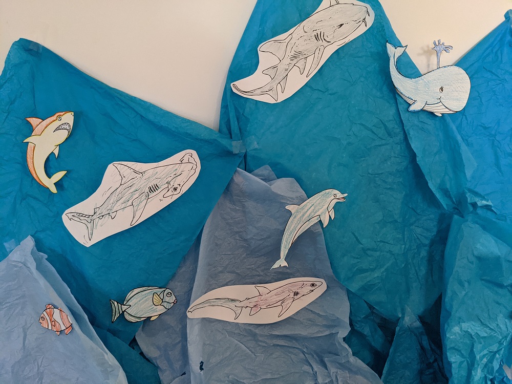 An Amazing Ocean Week at Home – Ocean Exploration: Awesome Sharks ...