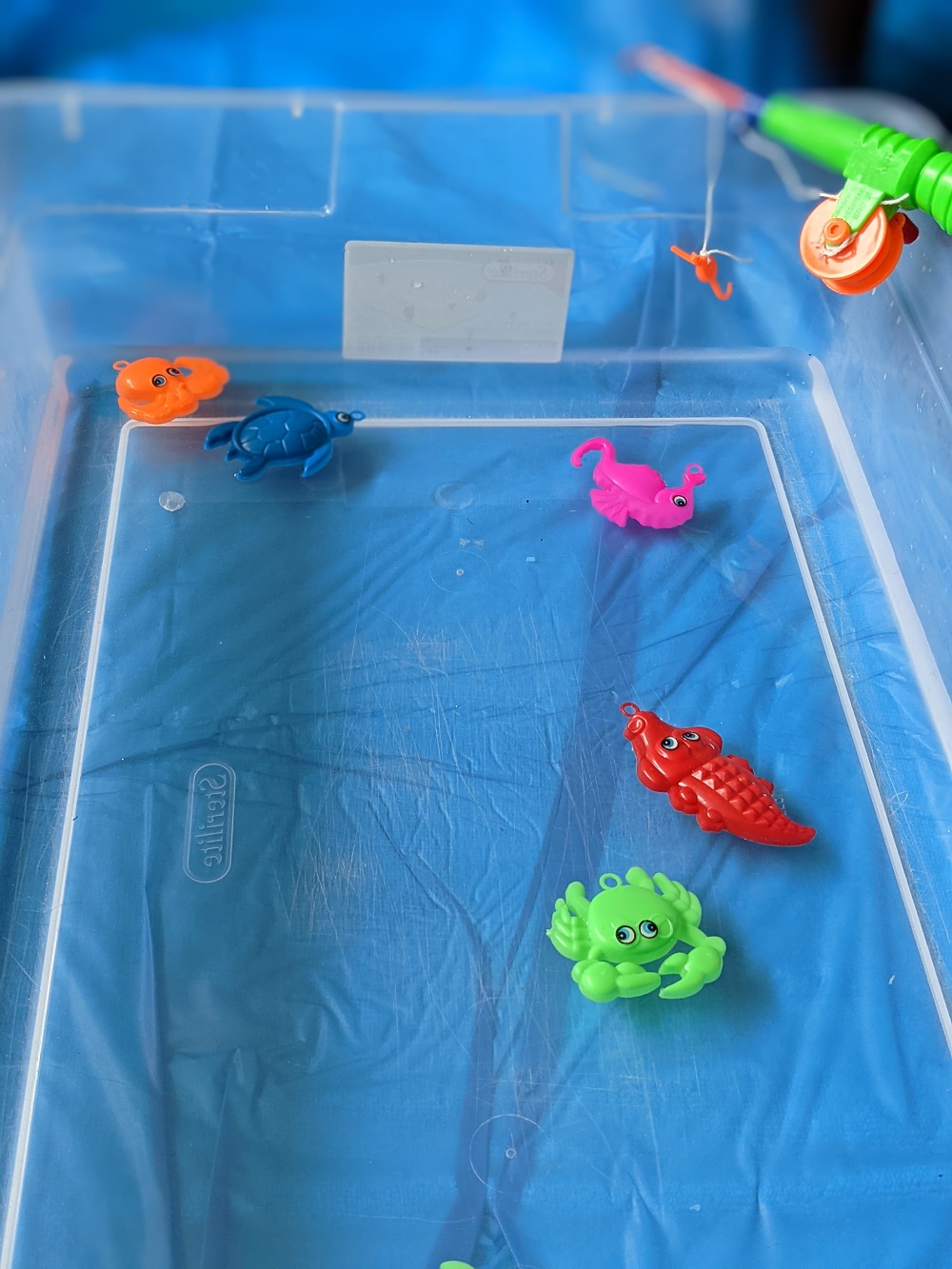 An Easy & Inexpensive Ocean-Themed Party – Crafts, Games, Favors ...