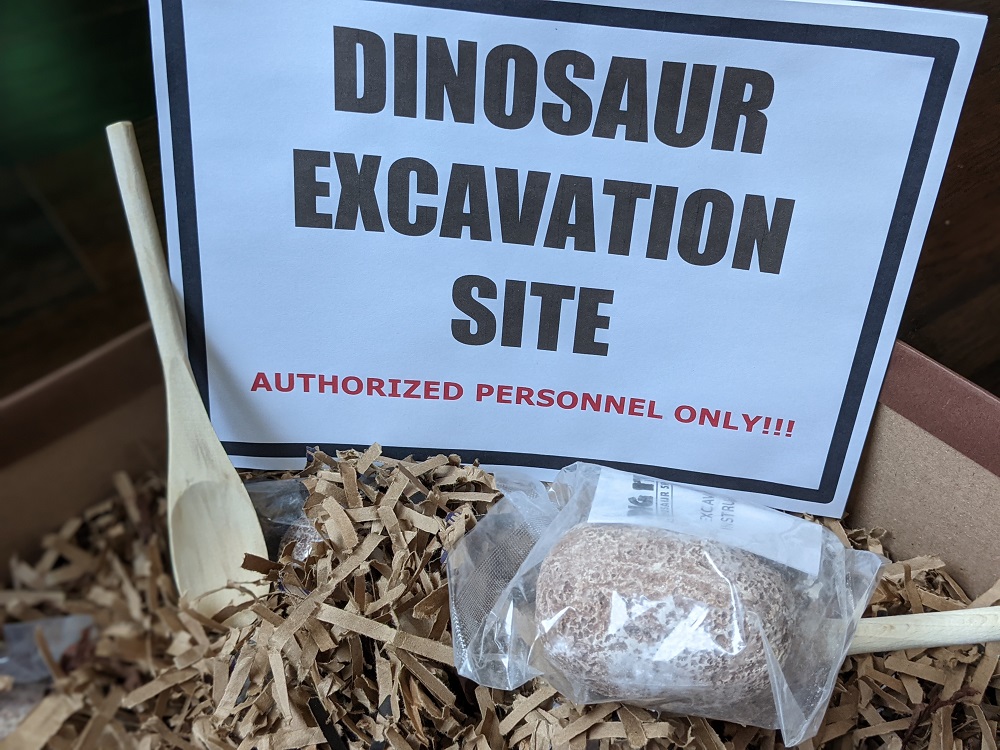 A Fun & Simple Dinosaur Excavation Site for Kids – Frolicking Fox Cubs