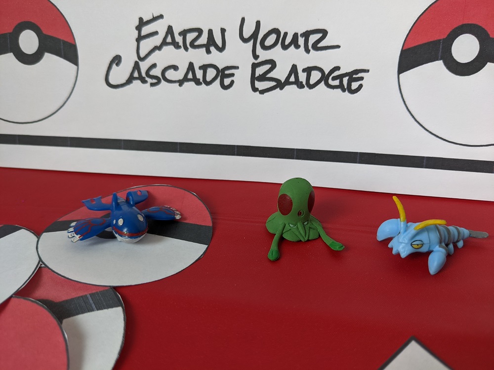 An EPIC Pokémon Party That Won’t Cost a Fortune! – Frolicking Fox Cubs