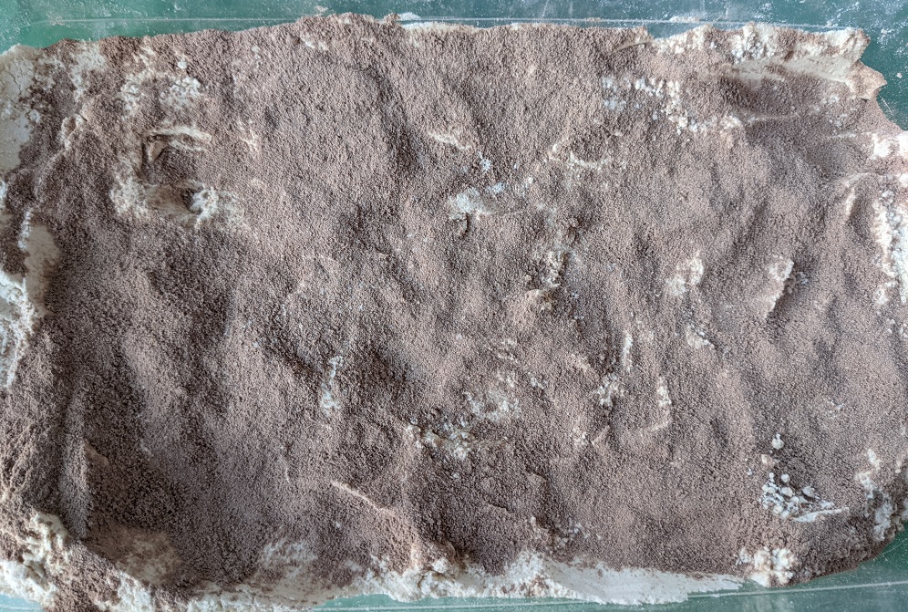 Rocking Rock Research! – An Amazing DIY Meteorite Camp Day – Frolicking ...