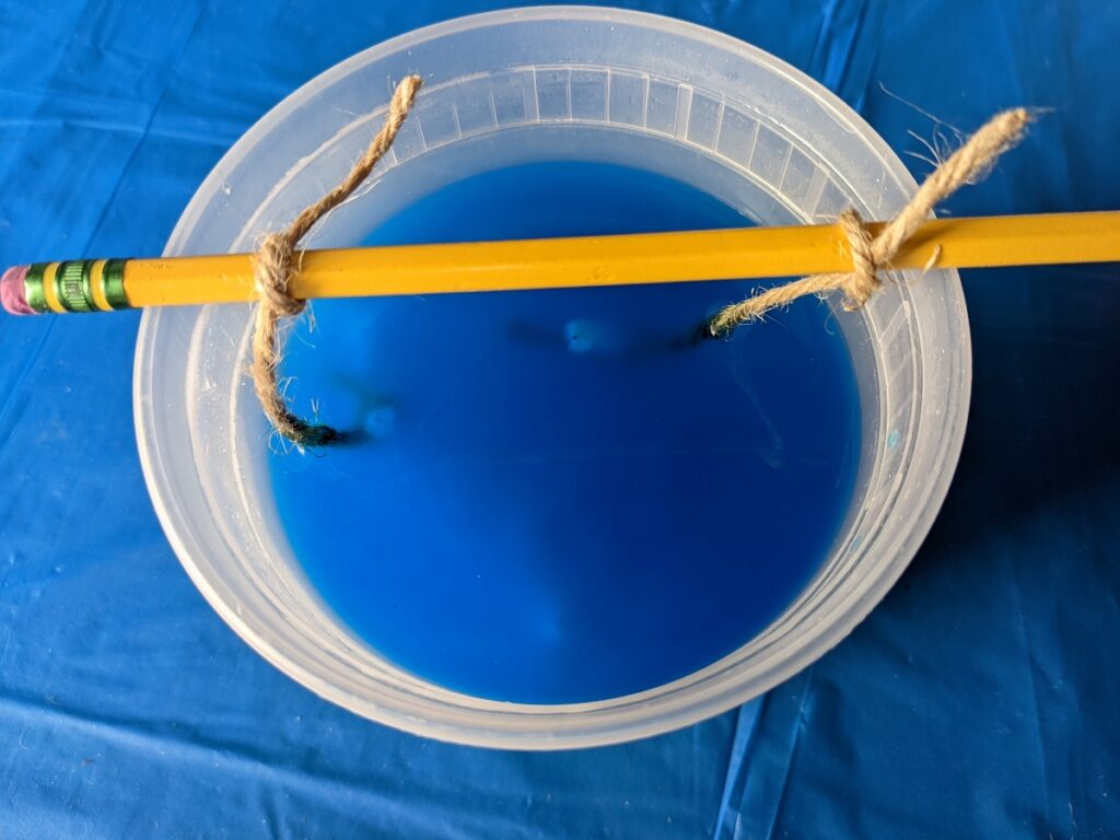 Winter Learning Fun – An Amazing Day Studying Snow & Snowflakes ...