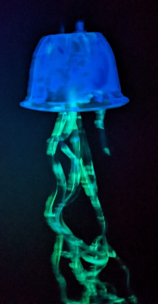 An Easy & Inexpensive Glowing Jellyfish Craft – Frolicking Fox Cubs