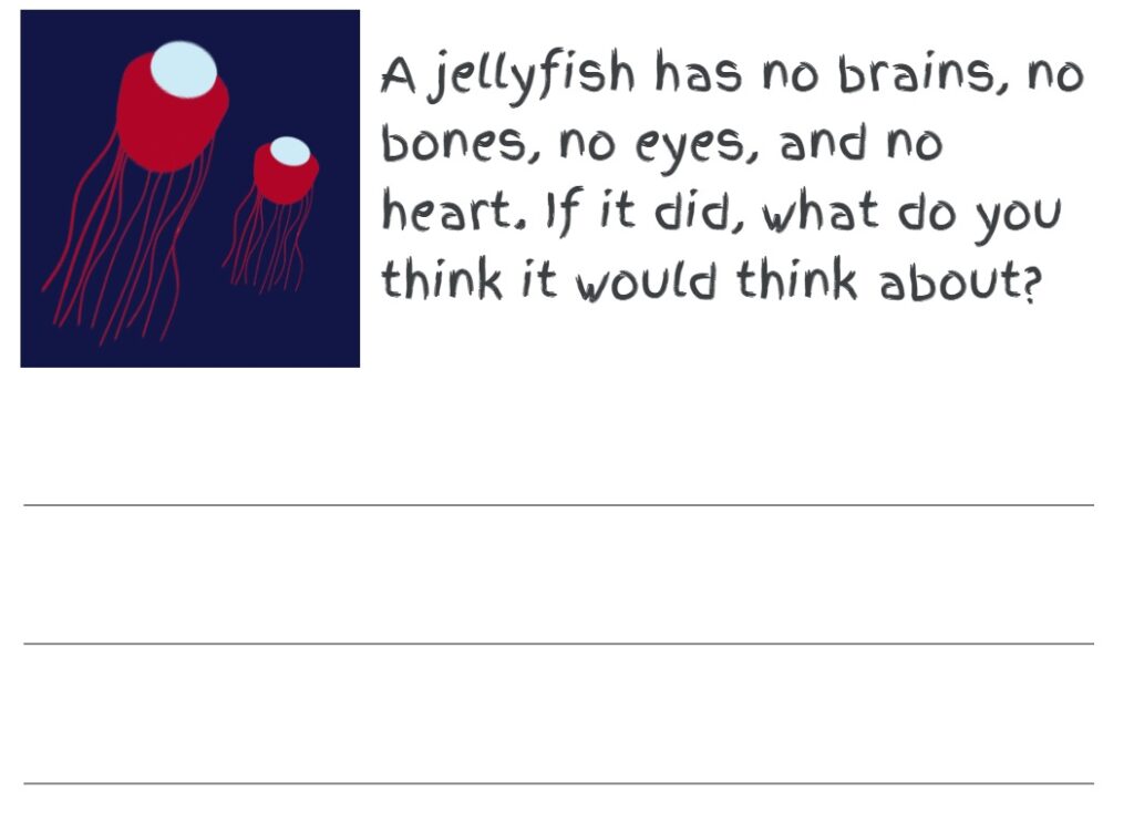 Amazing Ocean Week – Dive Into The Midnight Zone: Jellyfish ...