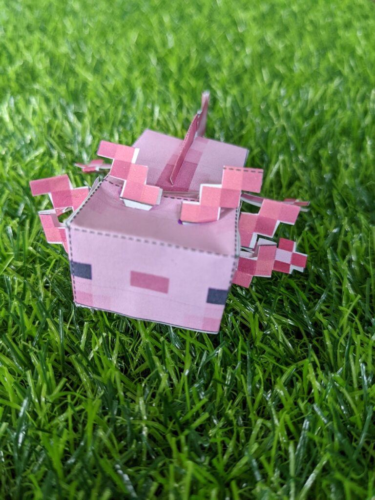 Awesome Amphibian Week – An Amazing, DIY Camp: Axolotl Day – Frolicking ...