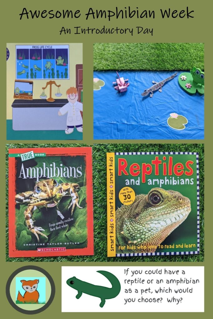 Awesome Amphibian Week – An Amazing, DIY Camp for Kids – Frolicking Fox ...