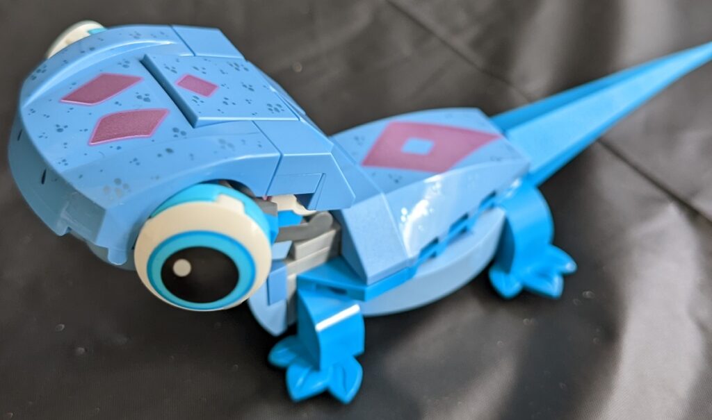 Awesome Amphibian Week – An Amazing, DIY Camp: Sensational Salamanders ...