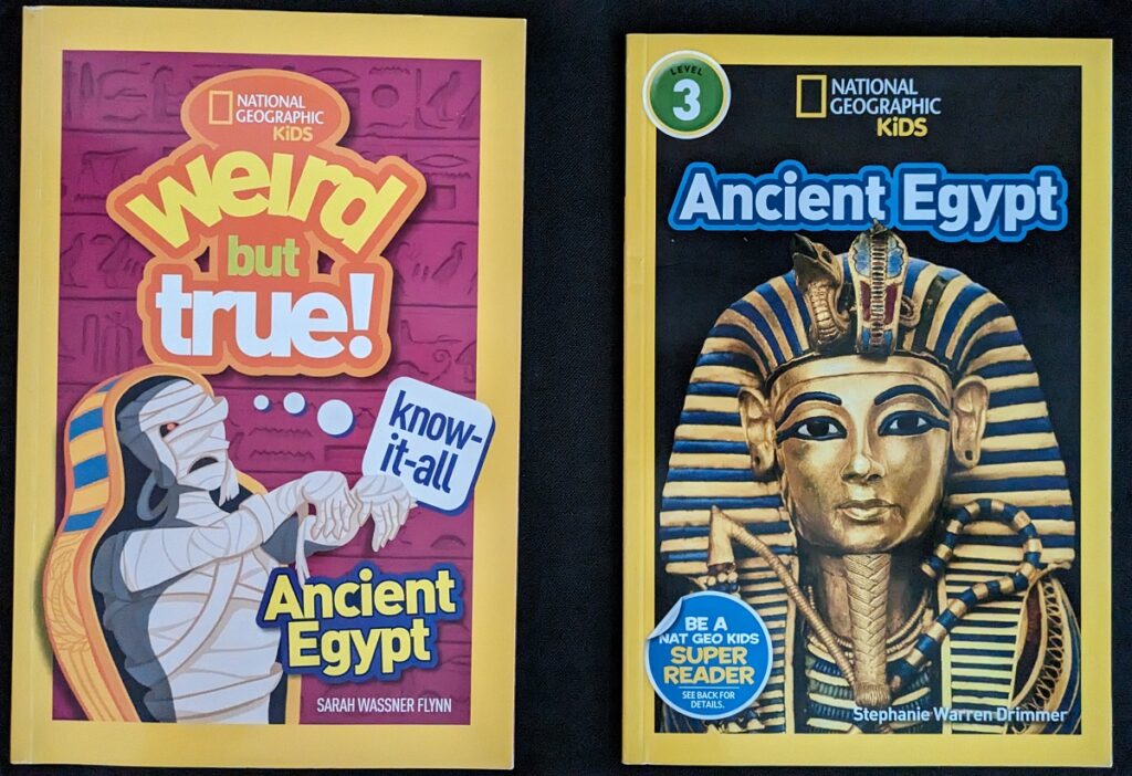 An Amazing At Home Ancient Egypt Week: Intro Day – Frolicking Fox Cubs