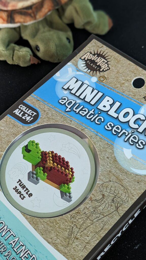 Turtle-riffic: An Amazing At Home Turtle Week: Intro Day – Frolicking ...