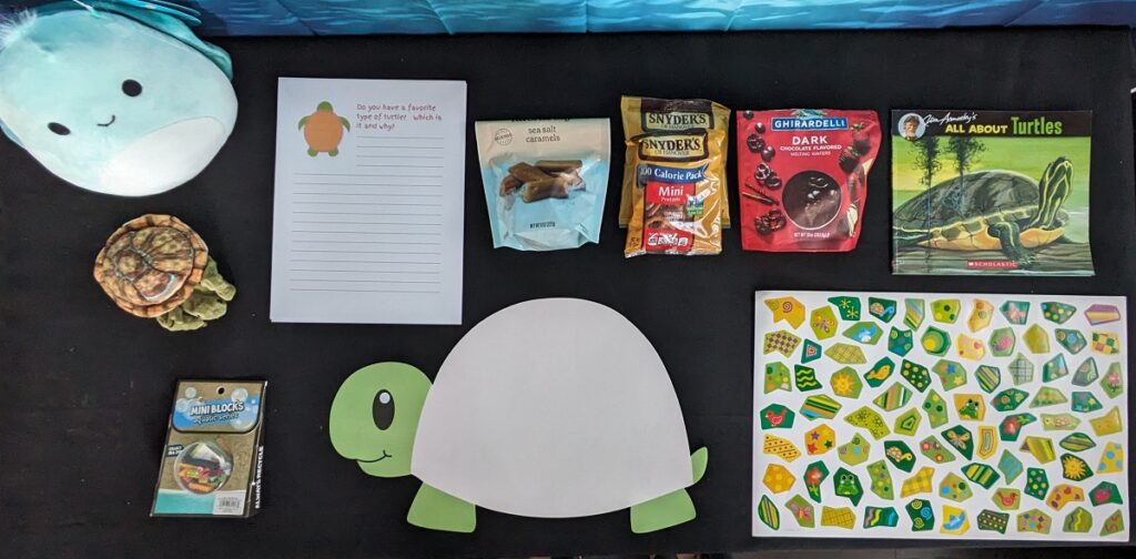 Turtle-riffic: An Amazing At Home Turtle Week: Intro Day – Frolicking ...