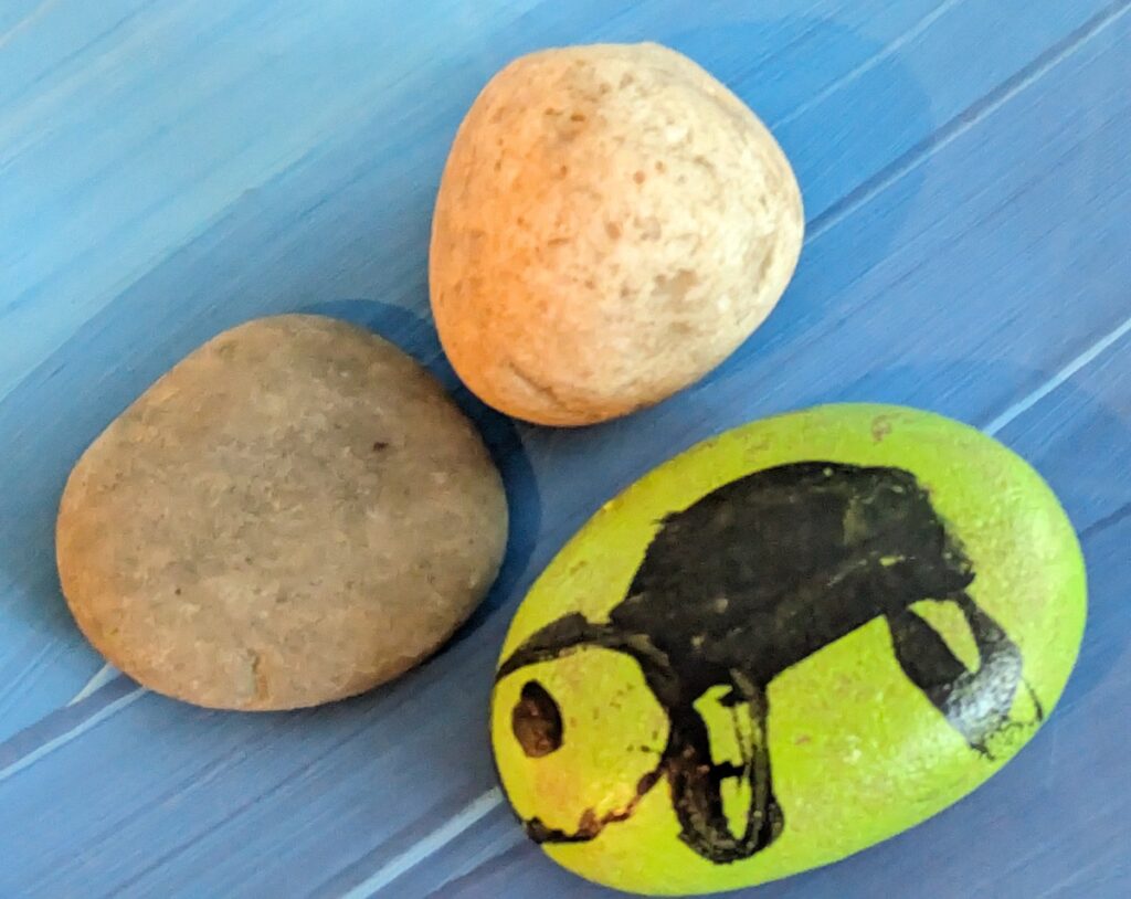 Turtle-riffic: An Amazing At Home Turtle Week: Turtle Rescue Day ...