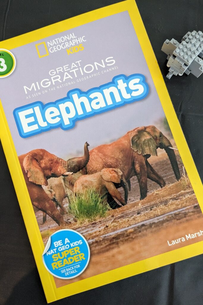 Learn & Play – Fun, Inexpensive, & Amazing Activities All About ...