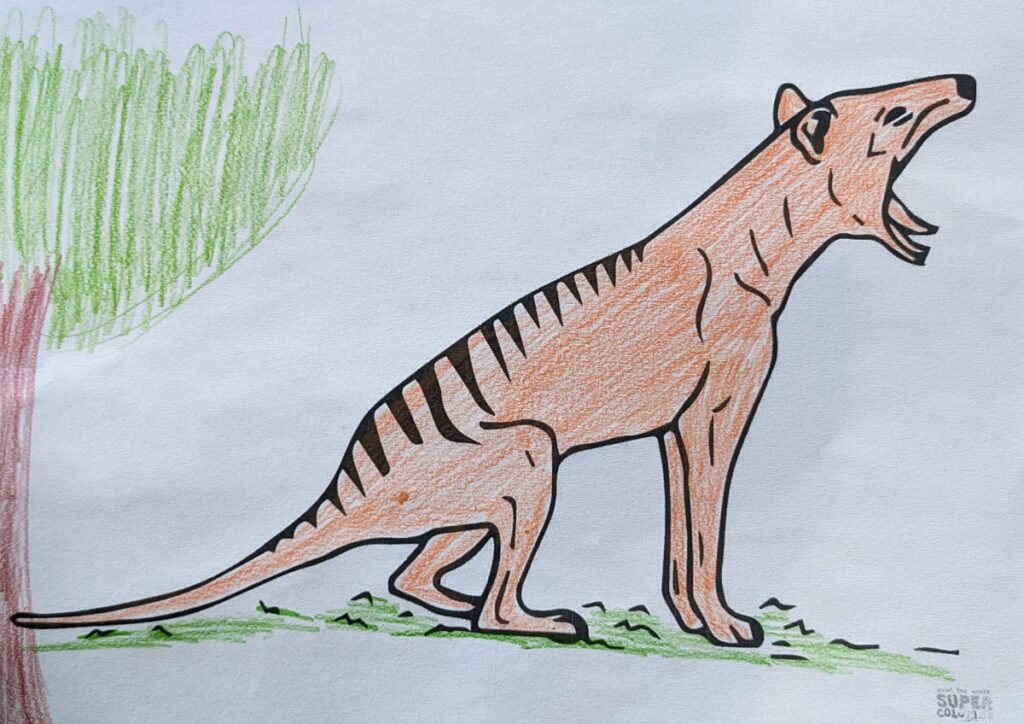 Blast to the Past – Awesome Extinct Animal Week: Tasmanian Tigers ...