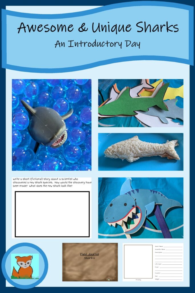 Awesome Sharks – A Week Full of Learning Fun – Frolicking Fox Cubs