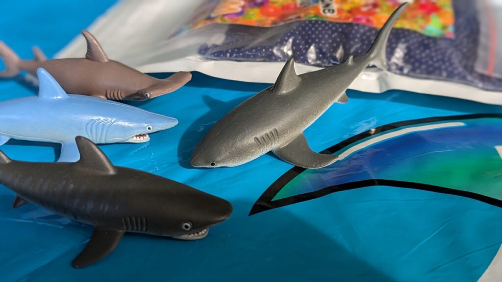 Awesome Sharks – A Week Full of Learning Fun: Intro Day – Frolicking ...