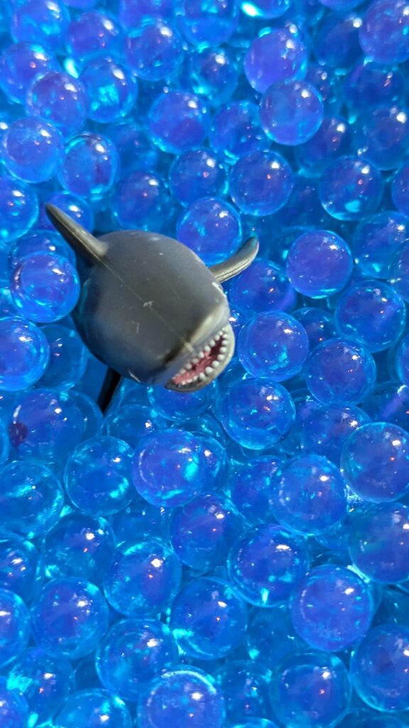 Awesome Sharks – A Week Full of Learning Fun: Intro Day – Frolicking ...