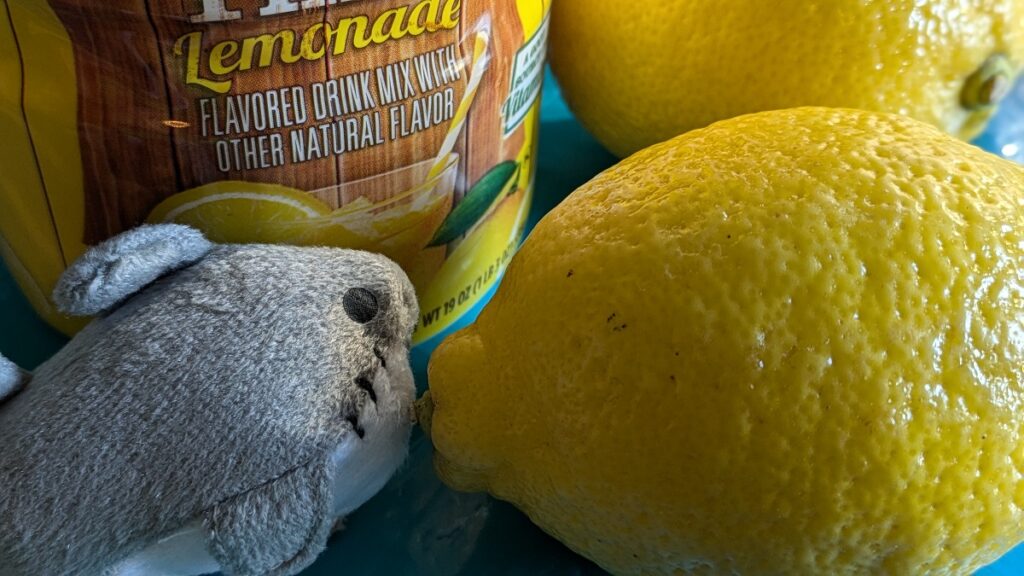 Awesome Sharks – A Week Full of Learning Fun: Lemon Sharks – Frolicking ...