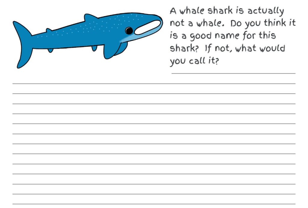 Awesome Sharks – A Week Full of Learning Fun: Whale Sharks – Frolicking ...